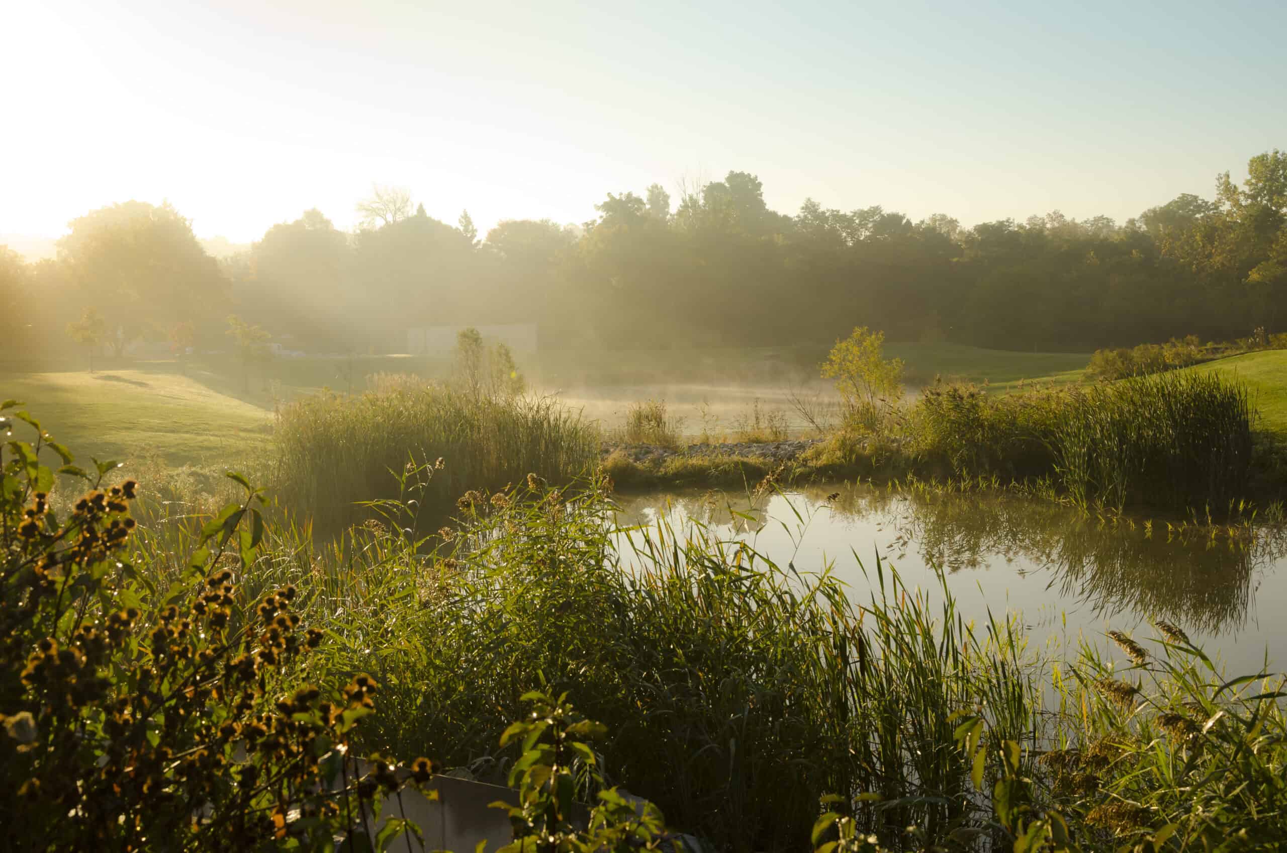 Sally Creek Lifestyle Homes - Building Dreams, One Home at a Time in ...